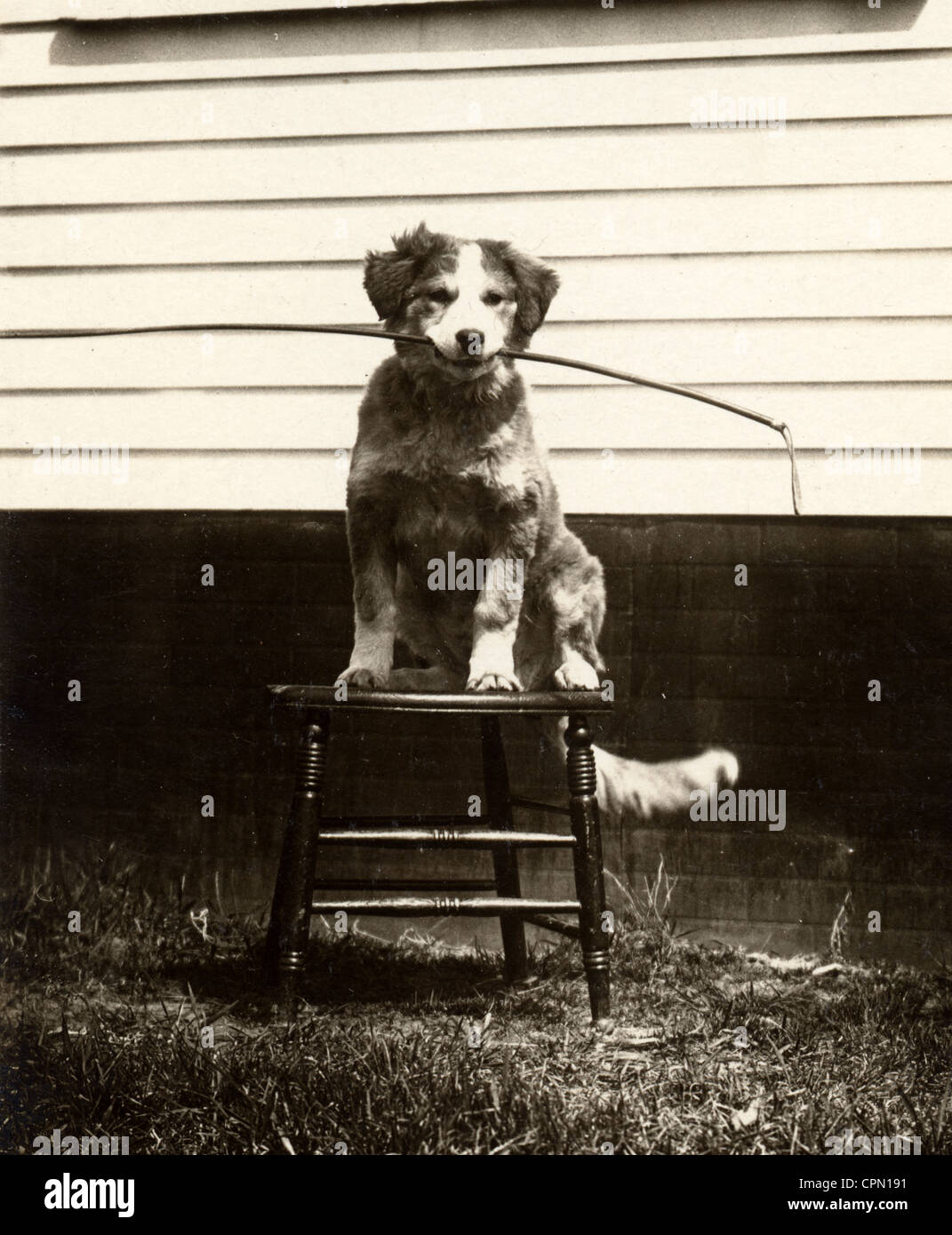 Disciplinarian hi-res stock photography and images - Alamy