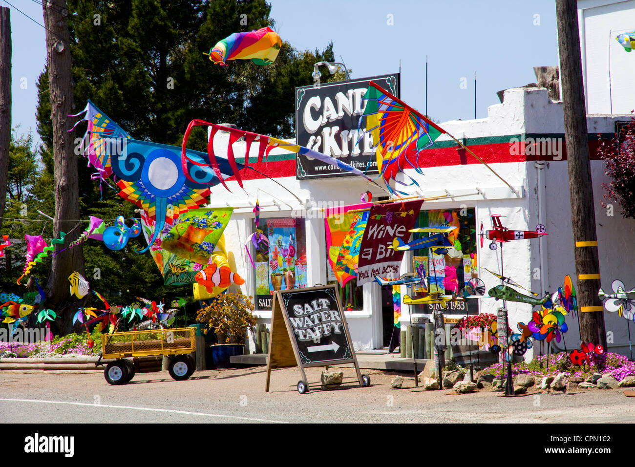 Bodega Bay, a thriving Sonoma County fishing village, popular for its ...