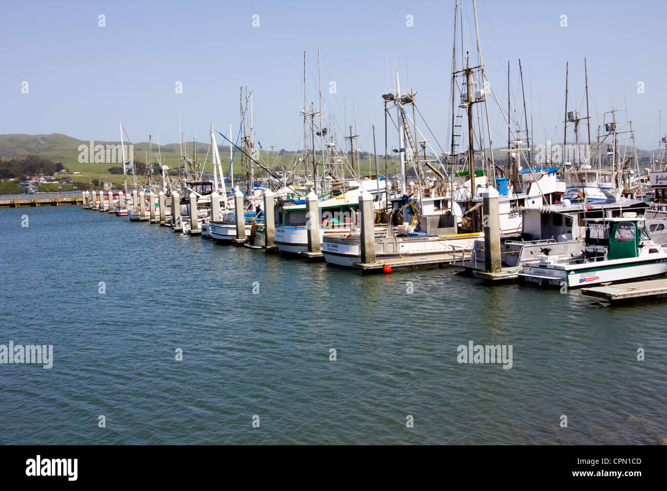Fishing harbor at Bodega Bay, Sonoma County, CA, USA Stock Photo - Alamy