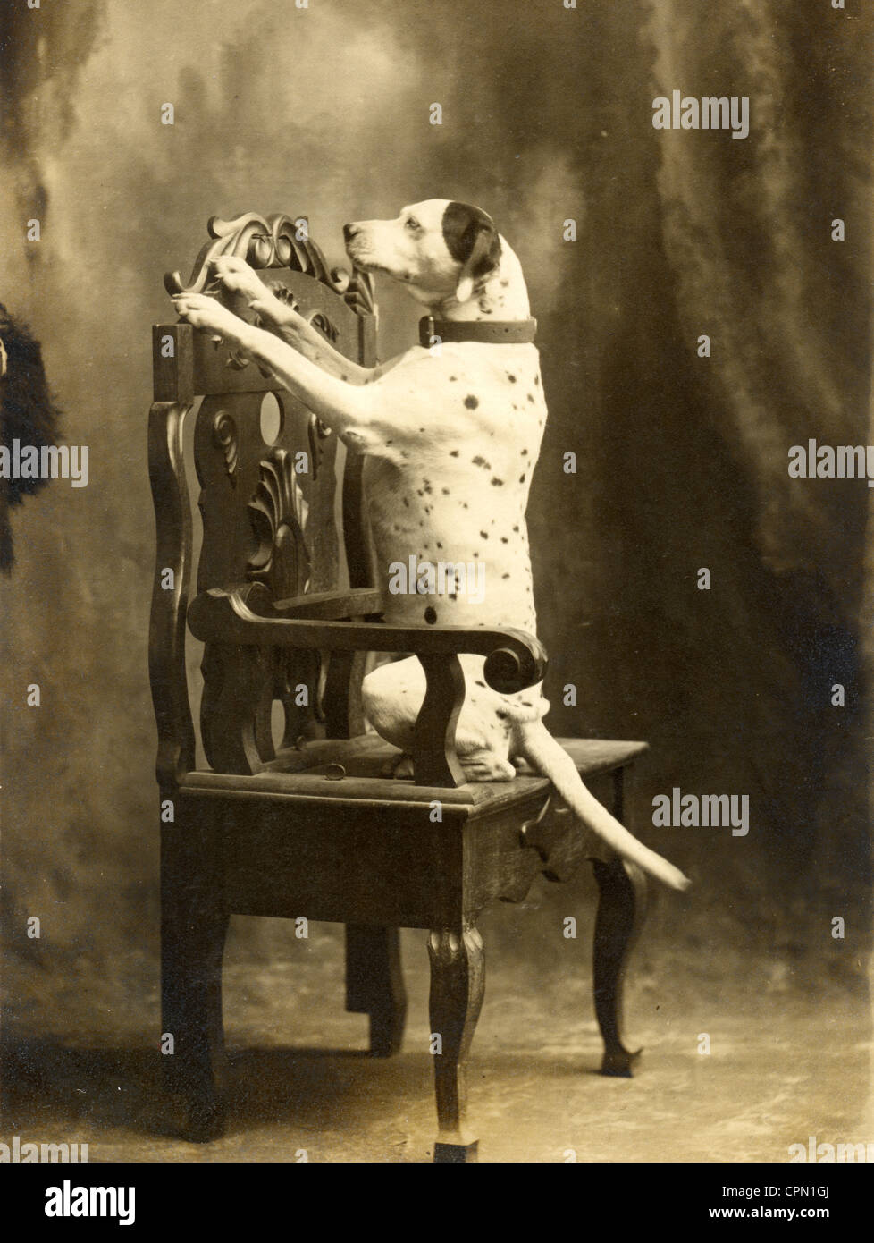 Large armed chair hi-res stock photography and images - Alamy