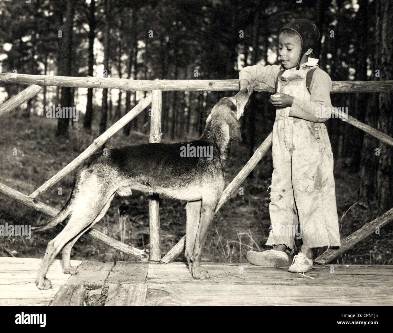 Little African-American Boy Feeding Hunting Dog Stock Photo - Alamy
