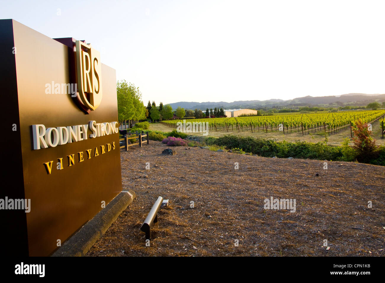 Rodney strong hi-res stock photography and images - Alamy