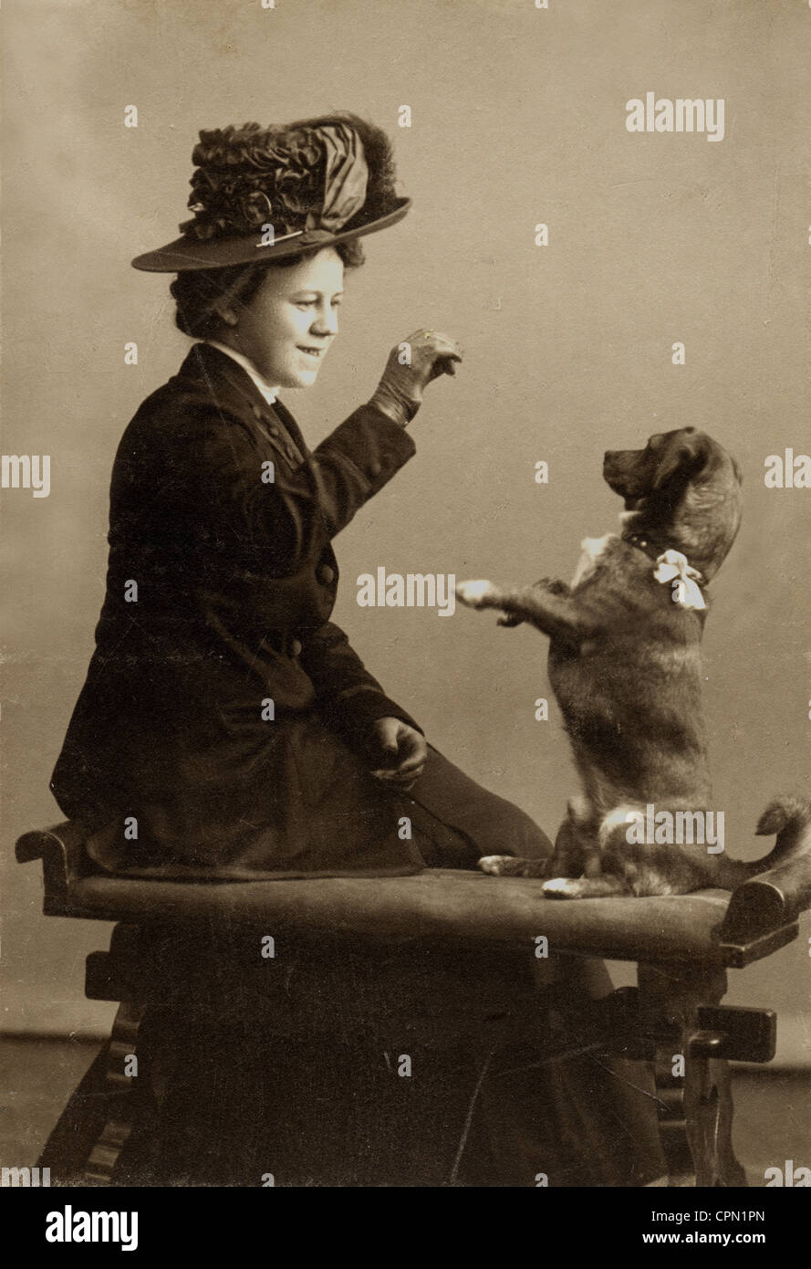 Well dressed dog hi-res stock photography and images - Alamy