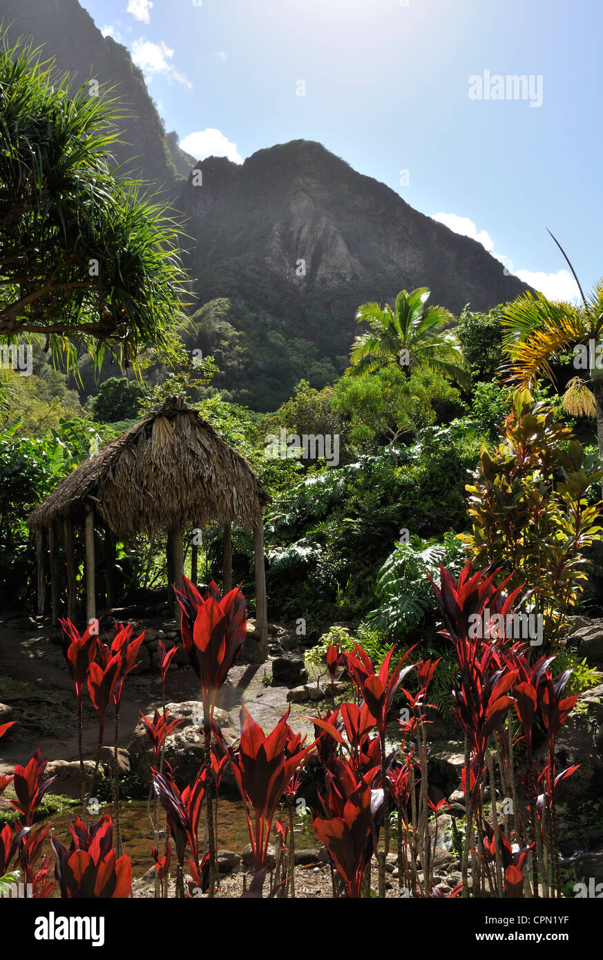 Iao needle and Iao park, Maui Hawaii Stock Photo - Alamy