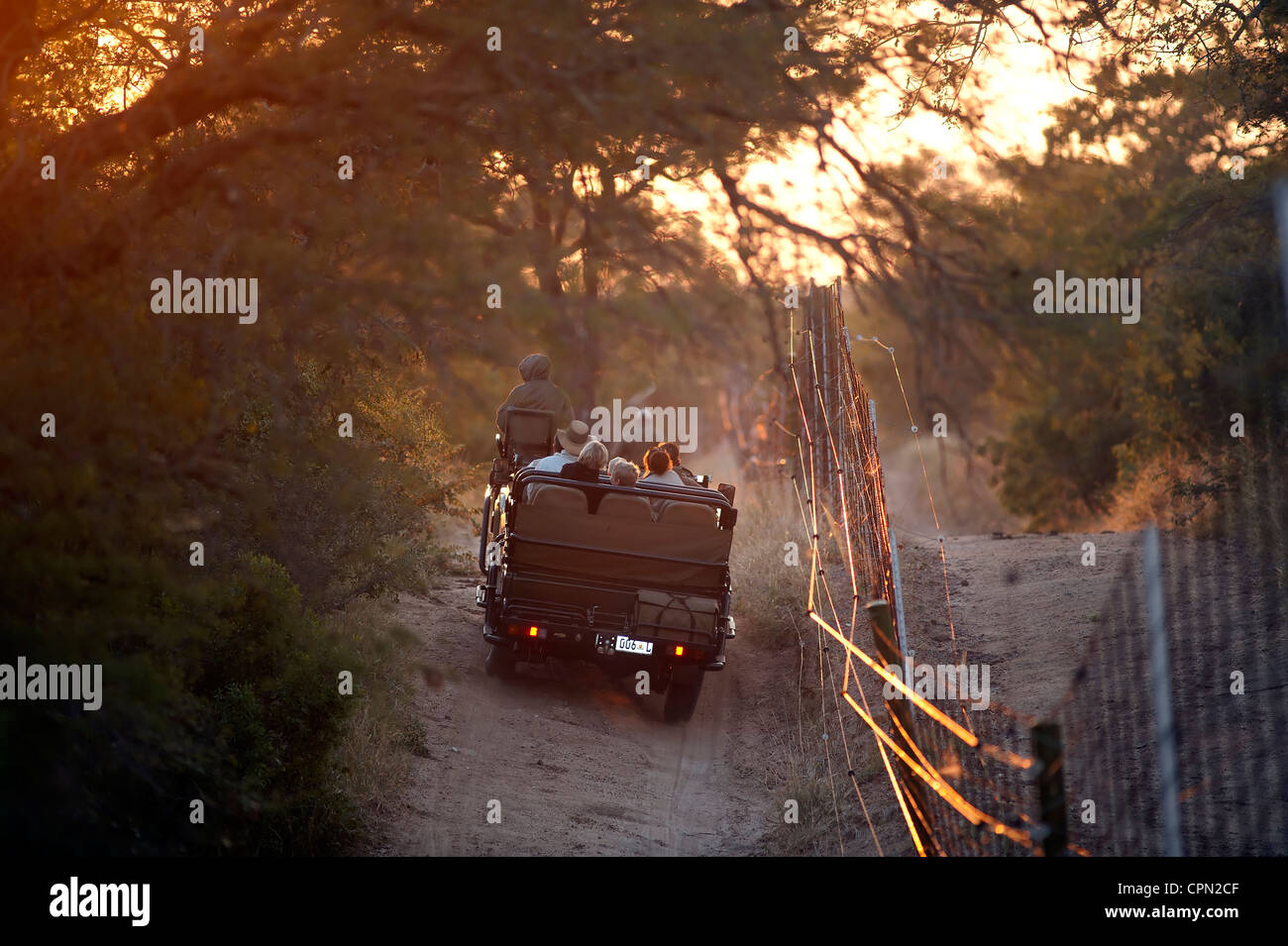 Ranger and Tracker search for animal tracks with tourists in vehicle in ...