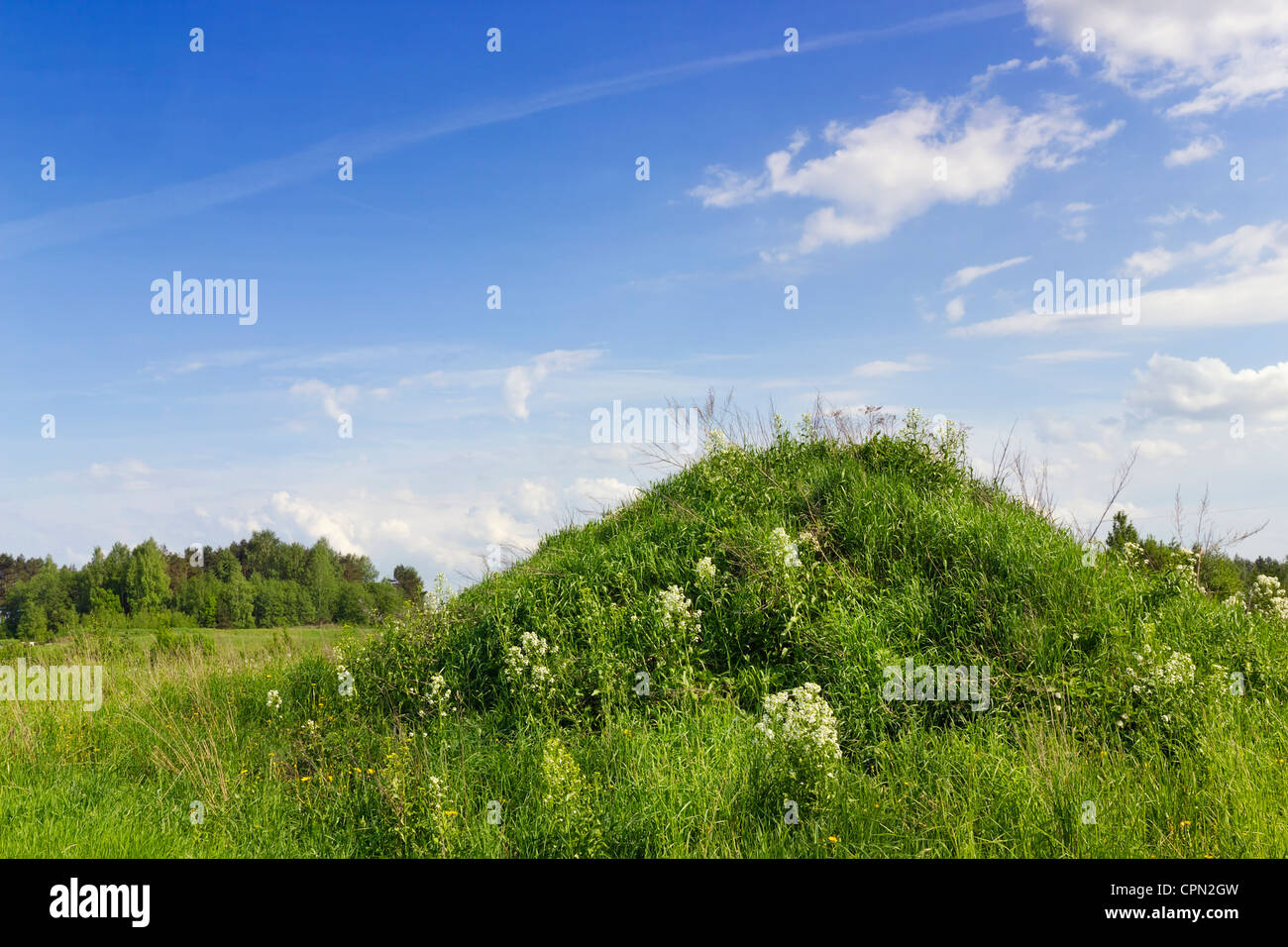 Blossoming spring green small hill landscape sunny day Stock Photo - Alamy