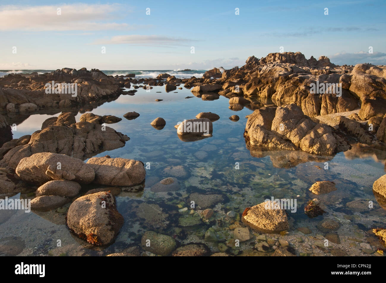 Rocky Asilomar Beach in Monterey Bay at sunset Stock Photo - Alamy