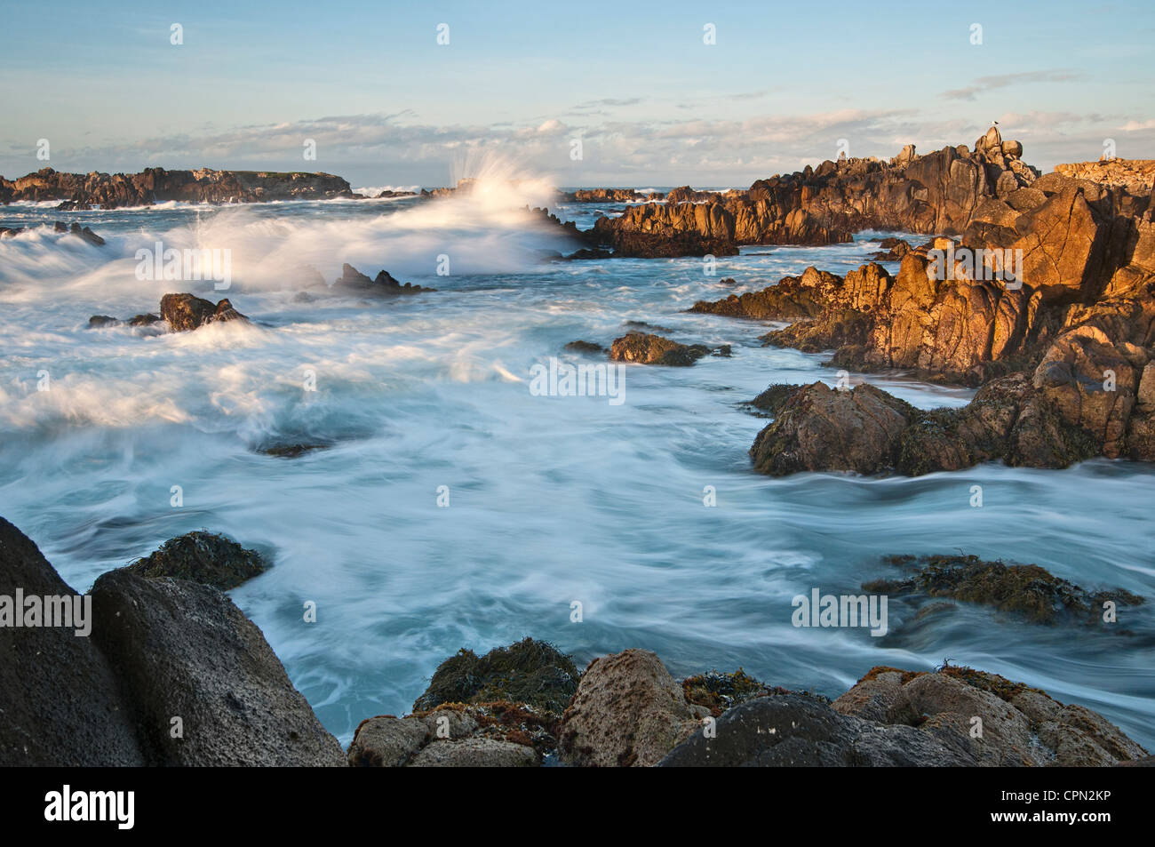 Rocky Asilomar Beach in Monterey Bay at sunset Stock Photo - Alamy