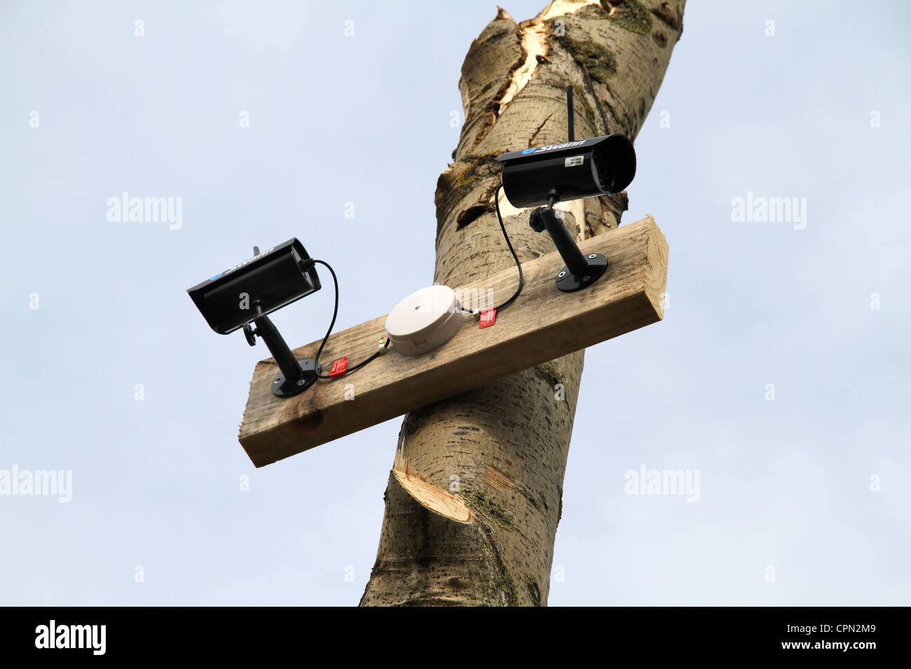 Cameras on light pole hi-res stock photography and images - Alamy