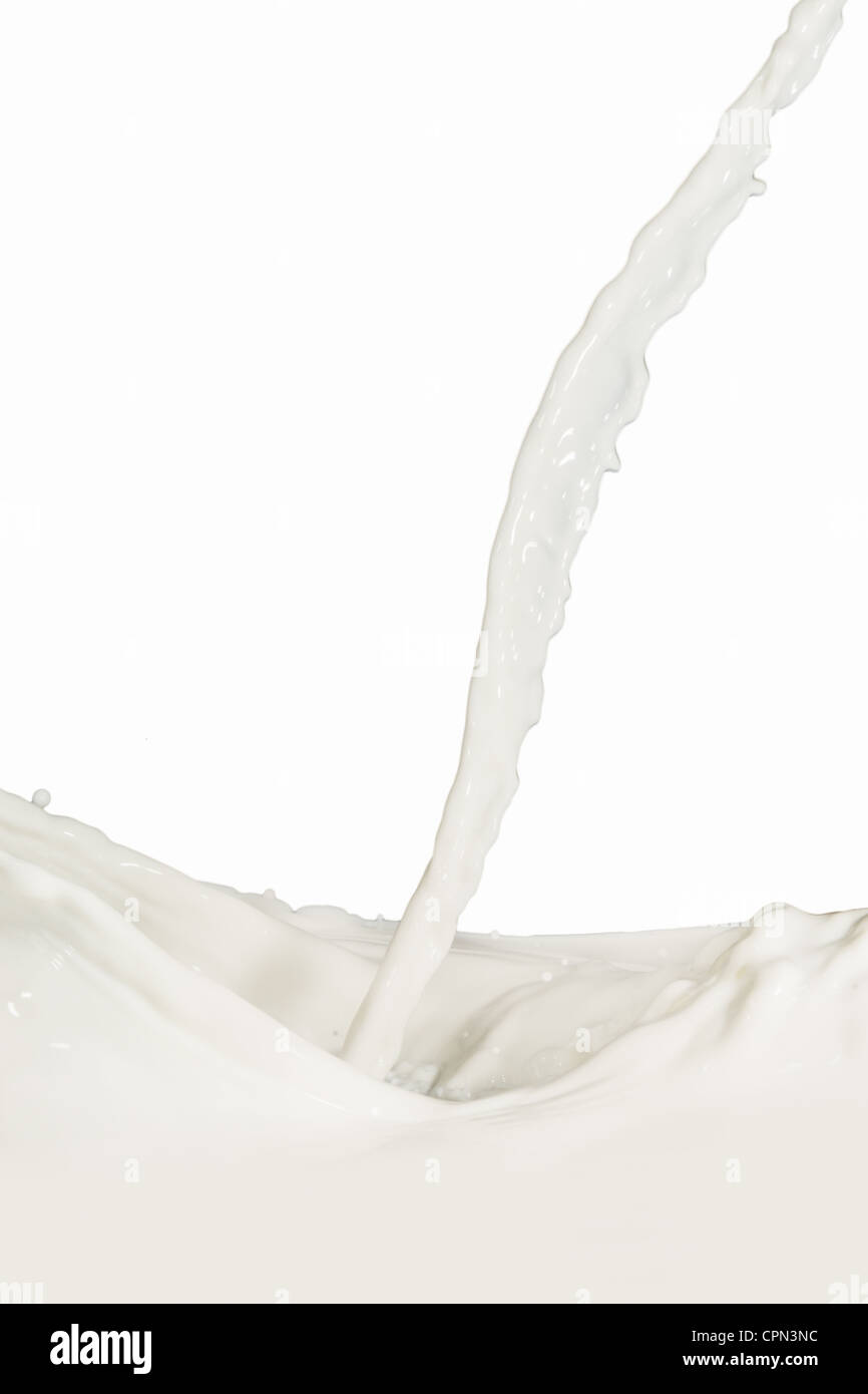splashing milk isolated on white background Stock Photo - Alamy