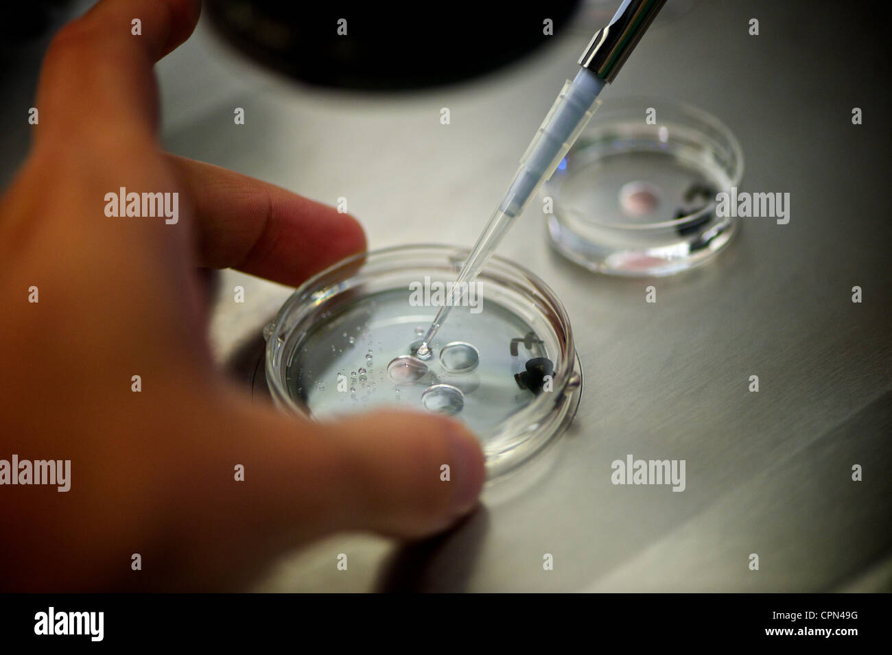 Ivf embryo dishes hi-res stock photography and images - Alamy