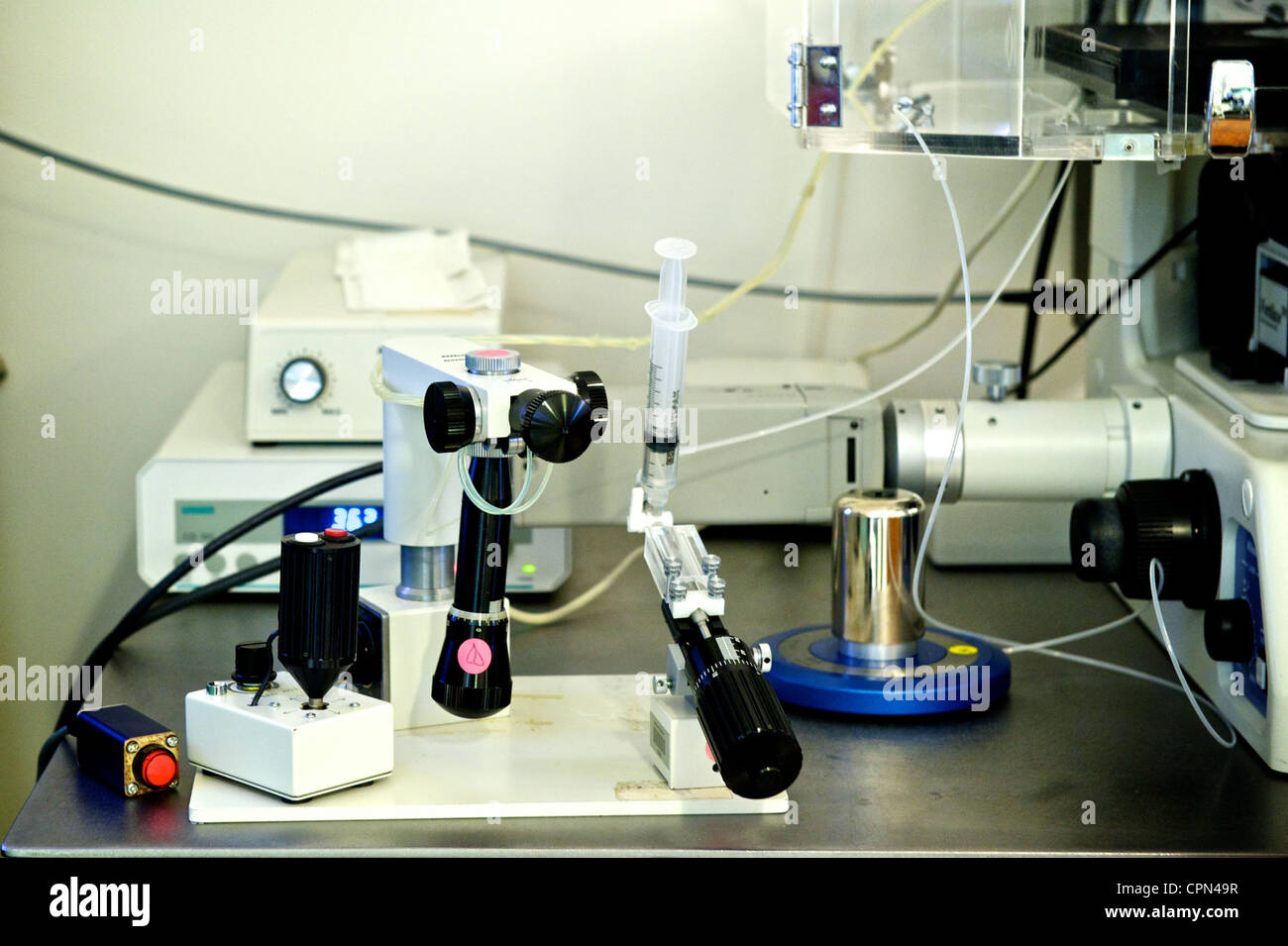 Embryo specimens hi-res stock photography and images - Alamy