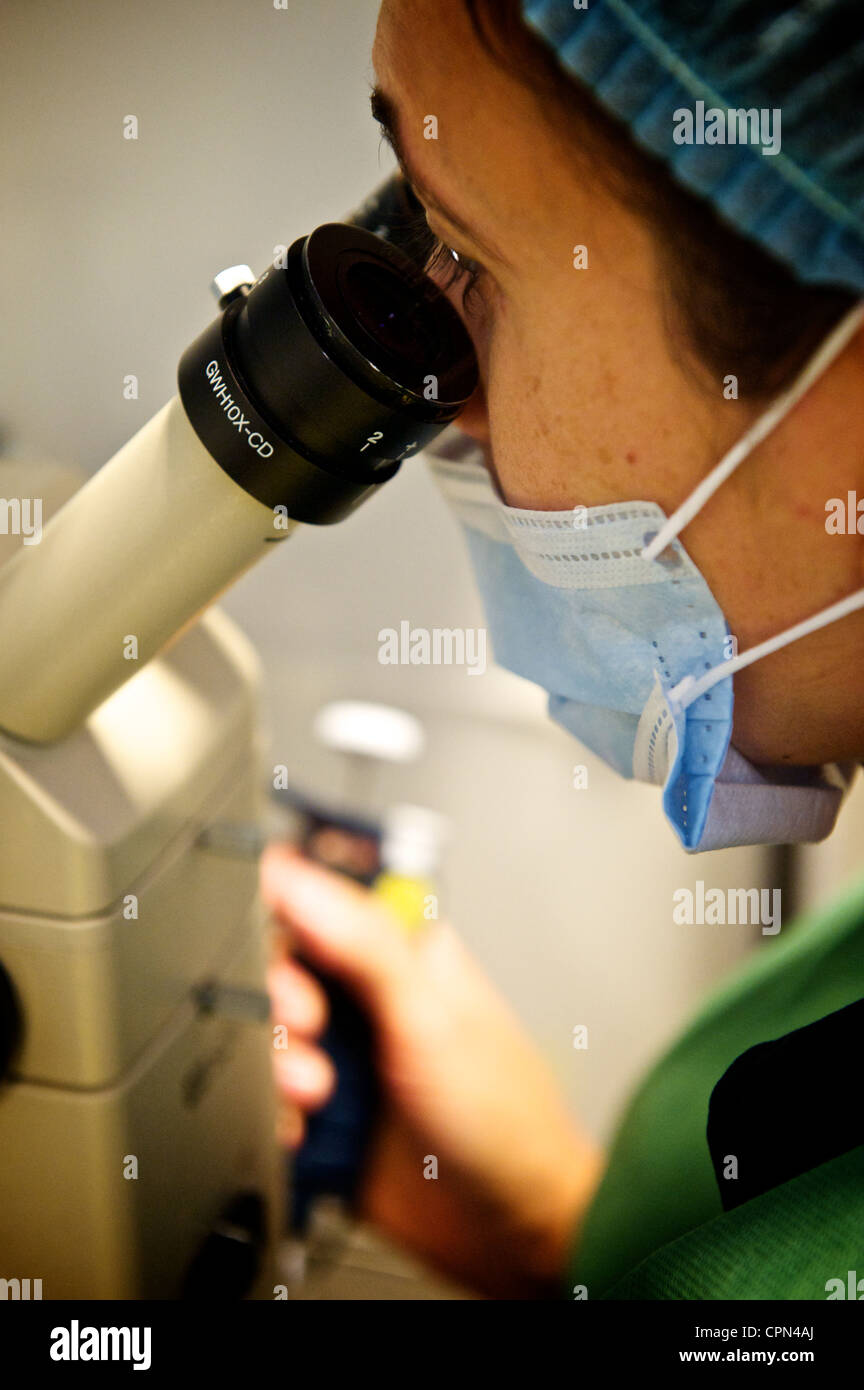 Human ovum light microscope hi-res stock photography and images - Alamy