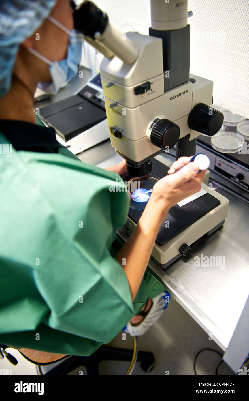 Human ovum light microscope hi-res stock photography and images - Alamy