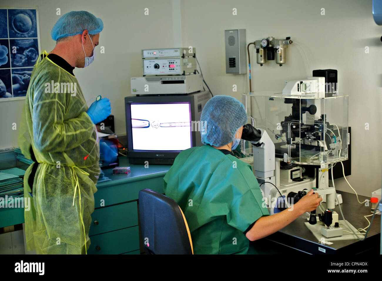 Ivf technique hi-res stock photography and images - Alamy