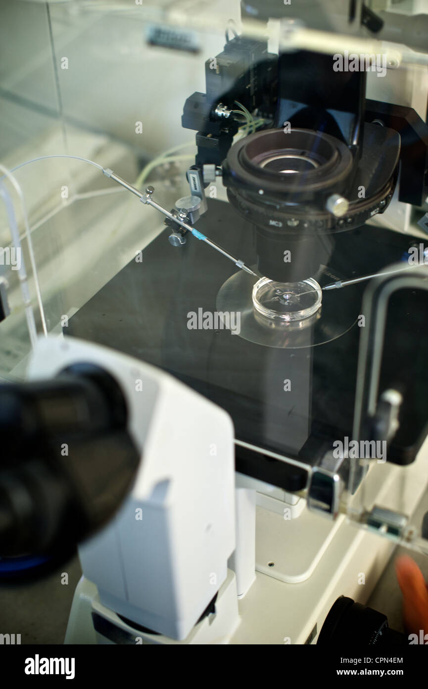 Ivf petri dish hi-res stock photography and images - Alamy