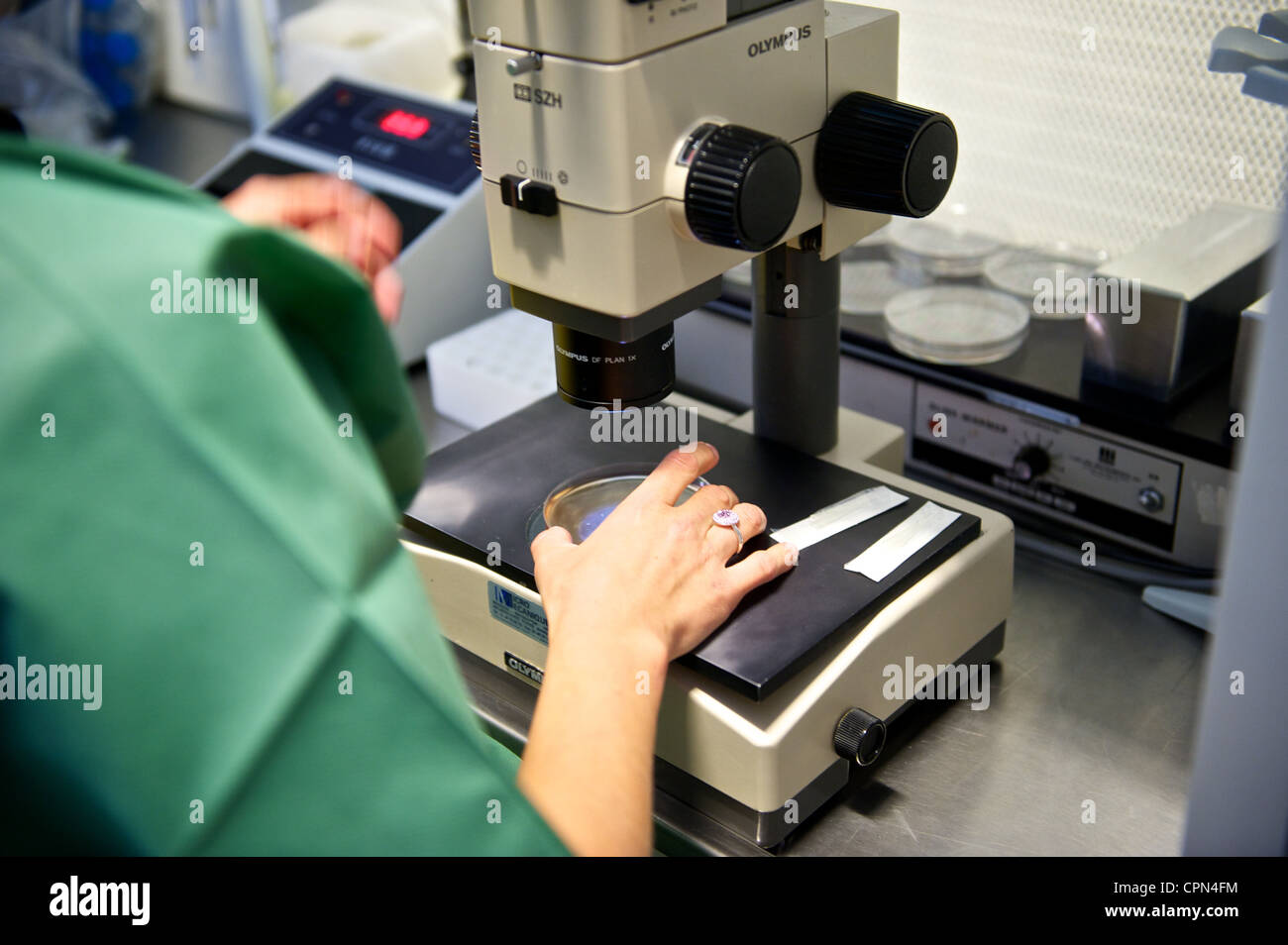 Human ovum light microscope hi-res stock photography and images - Alamy
