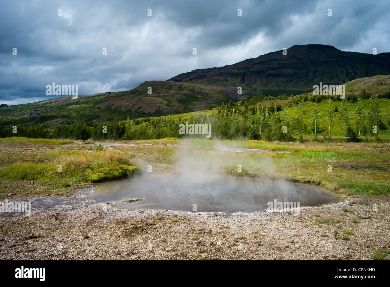 Steam rising from volcanic hot spring, Iceland Stock Photo - Alamy
