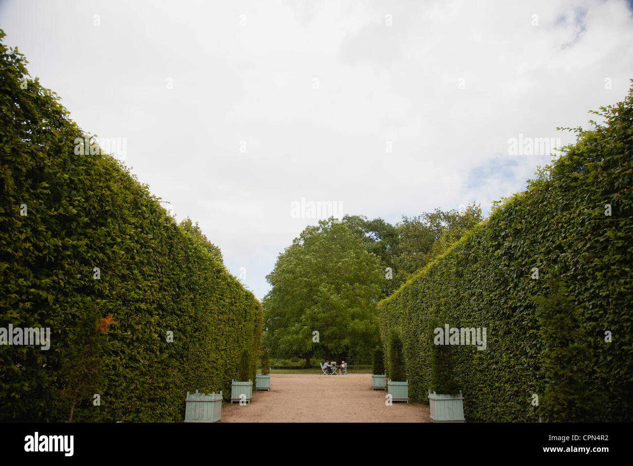 Hedges lining path in park Stock Photo - Alamy