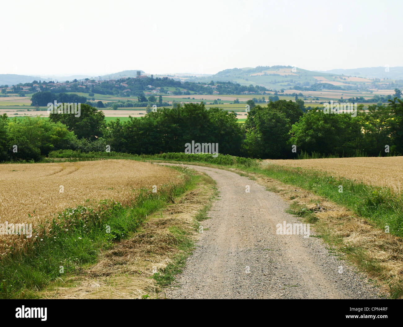 Cultured paths hi-res stock photography and images - Alamy