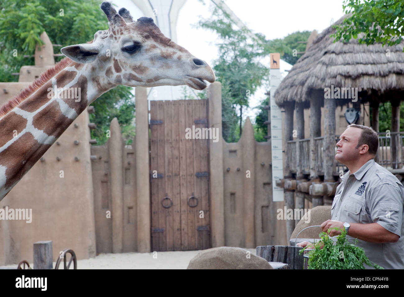Giraffe zookeeper hi-res stock photography and images - Alamy