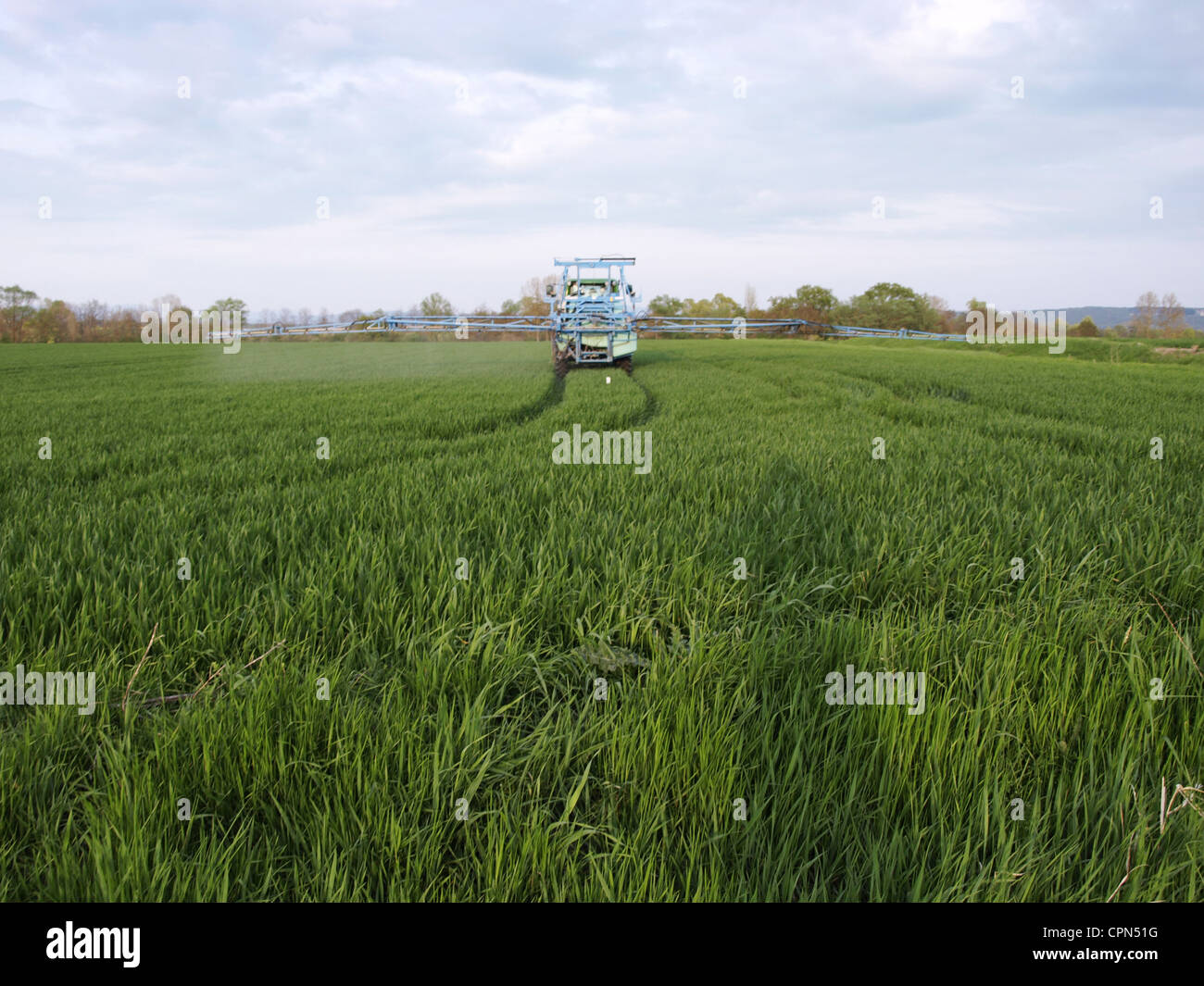 Wheat fertilization hi-res stock photography and images - Alamy