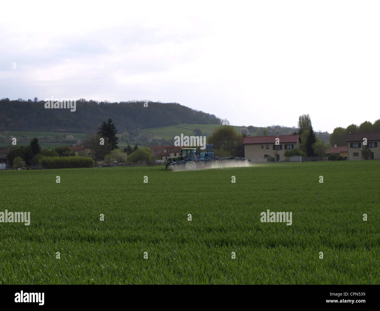 Wheat fertilization hi-res stock photography and images - Alamy