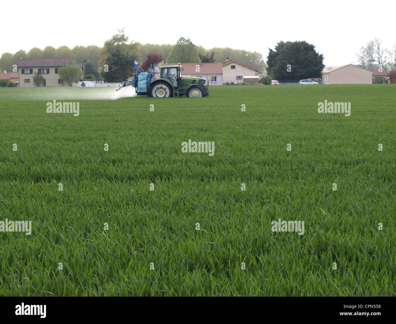 Wheat fertilization hi-res stock photography and images - Alamy