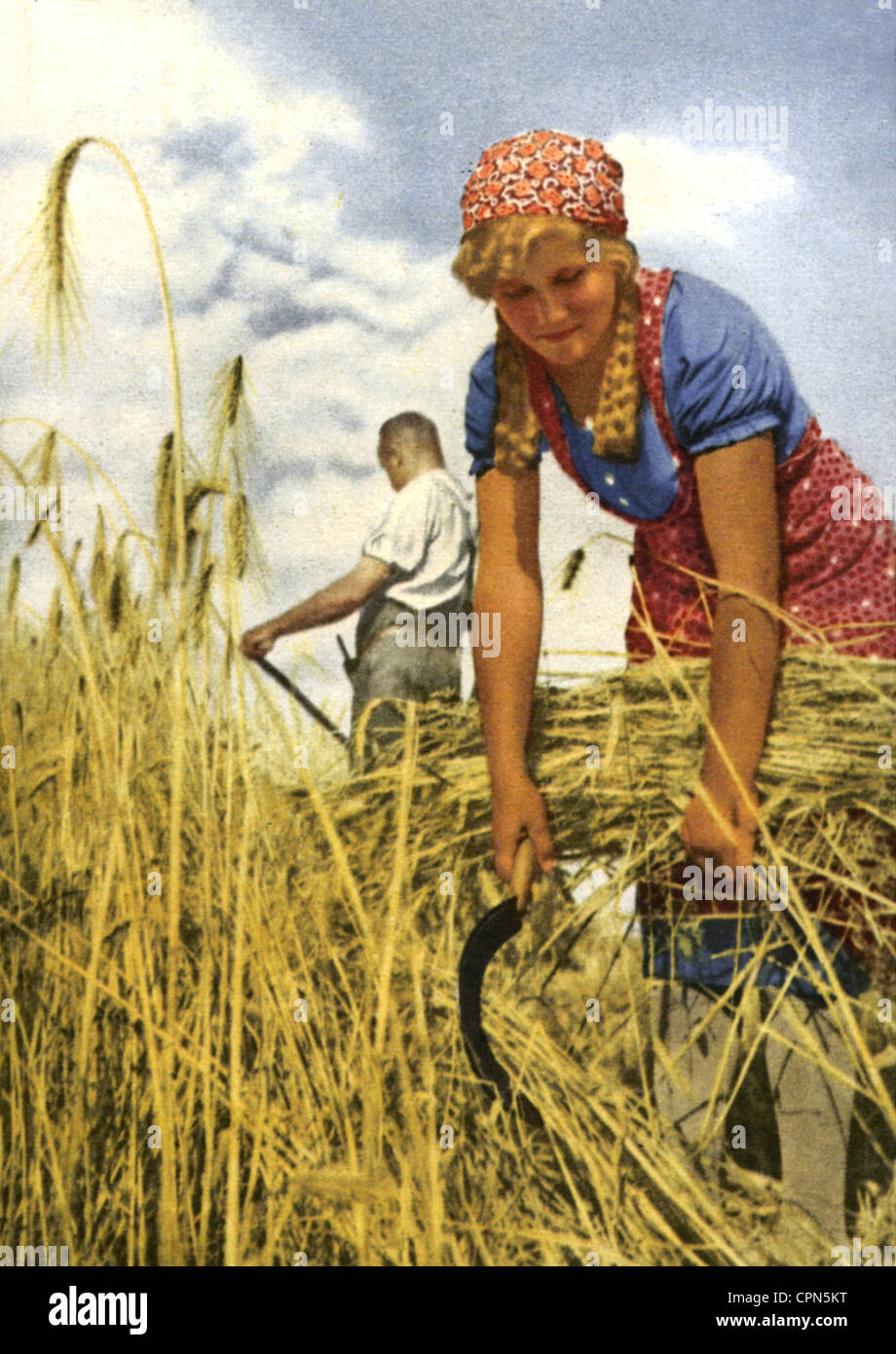 Corn field workers rights hi-res stock photography and images - Alamy