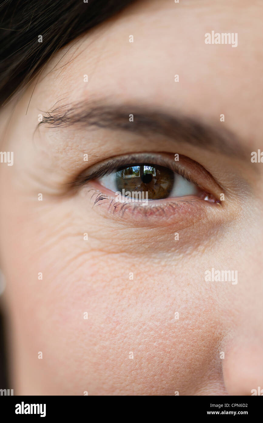 Parts of the eye hi-res stock photography and images - Alamy