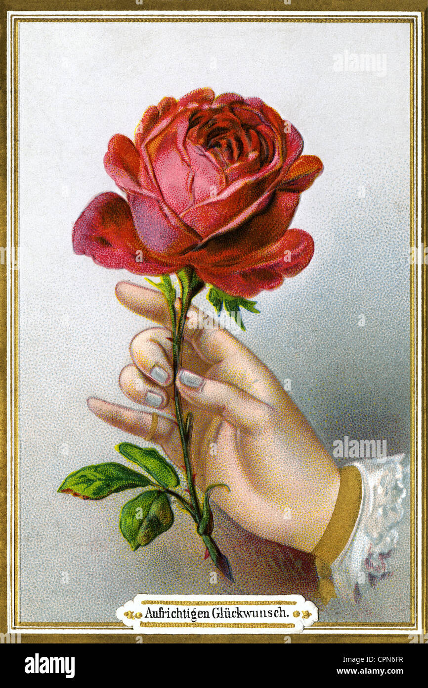 Sincerely congratulations hi-res stock photography and images - Alamy