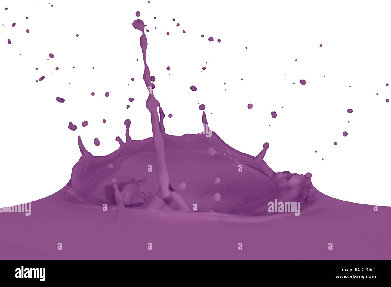 violet paint splashing isolated on white Stock Photo - Alamy