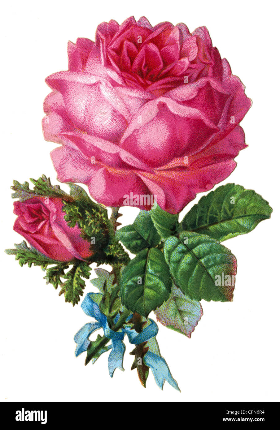 kitsch/cards/souvenir, rose, decoration, scrap-picture, Germany, circa ...