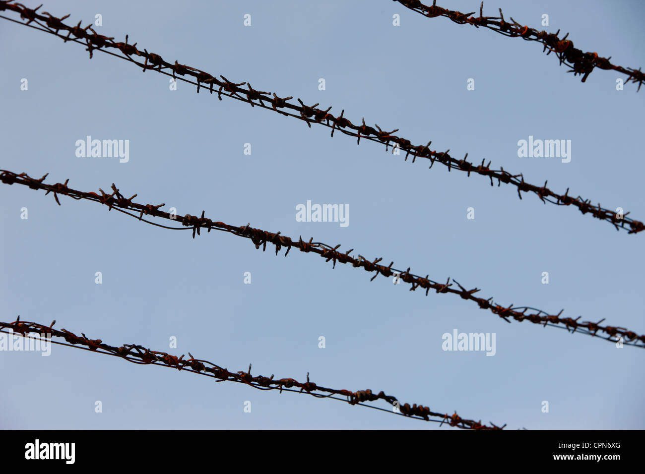 Internment camp fences hi-res stock photography and images - Alamy