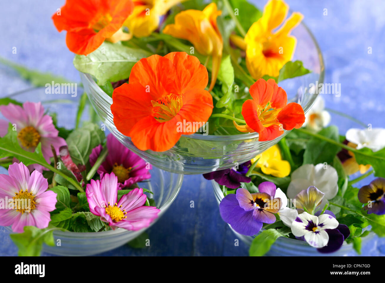 Edible Cosmos Flower High Resolution Stock Photography and Images - Alamy