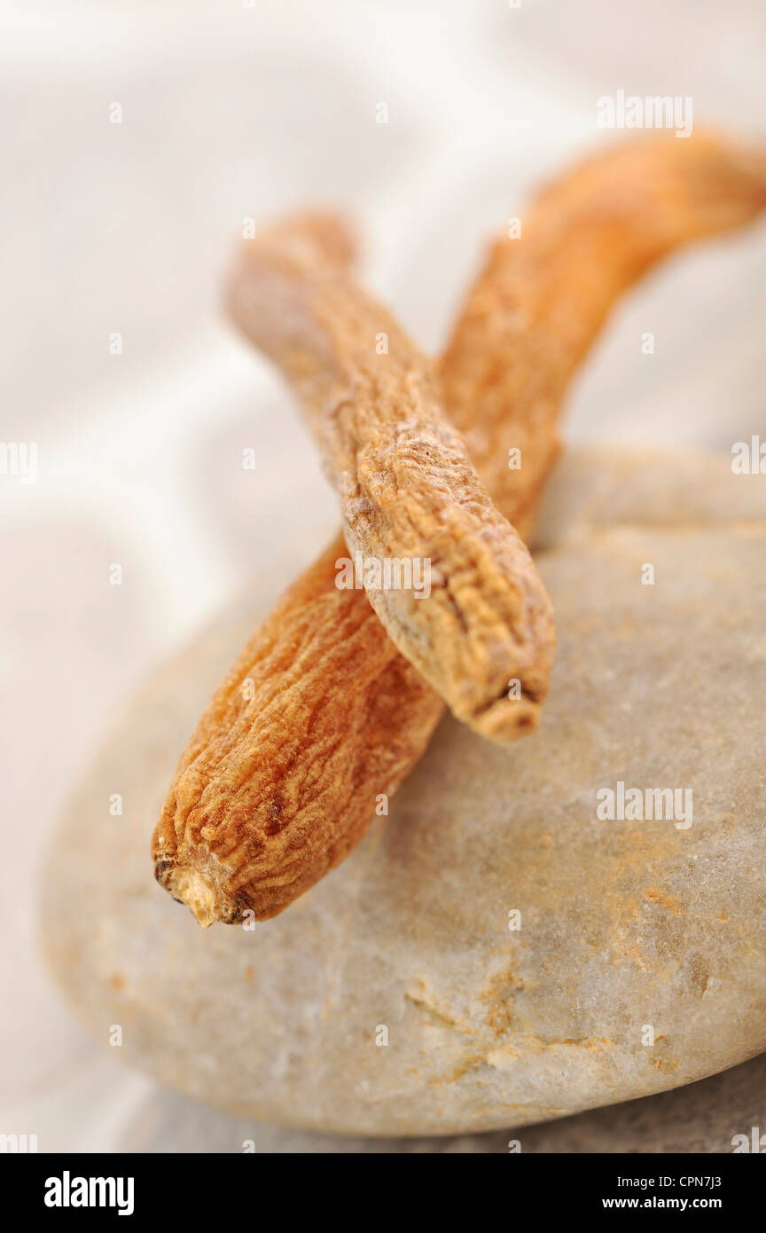 Red korean ginseng hi-res stock photography and images - Alamy