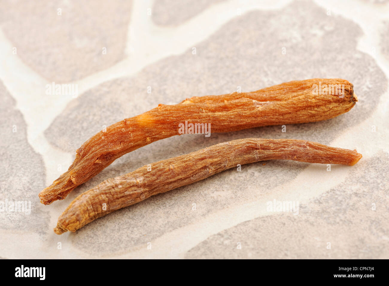 Chinese ginseng plant hi-res stock photography and images - Alamy