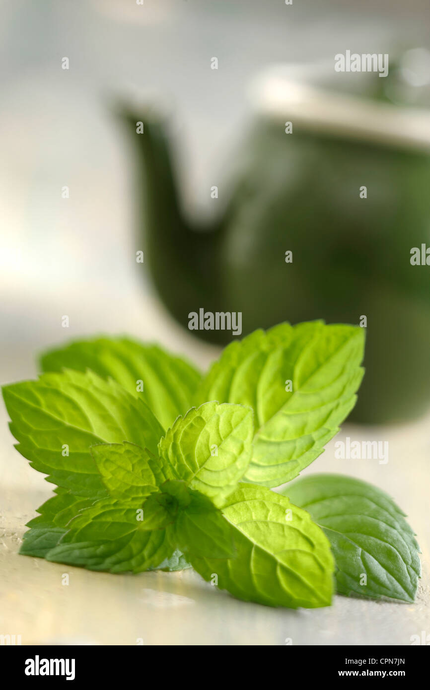 Mint teas hi-res stock photography and images - Alamy