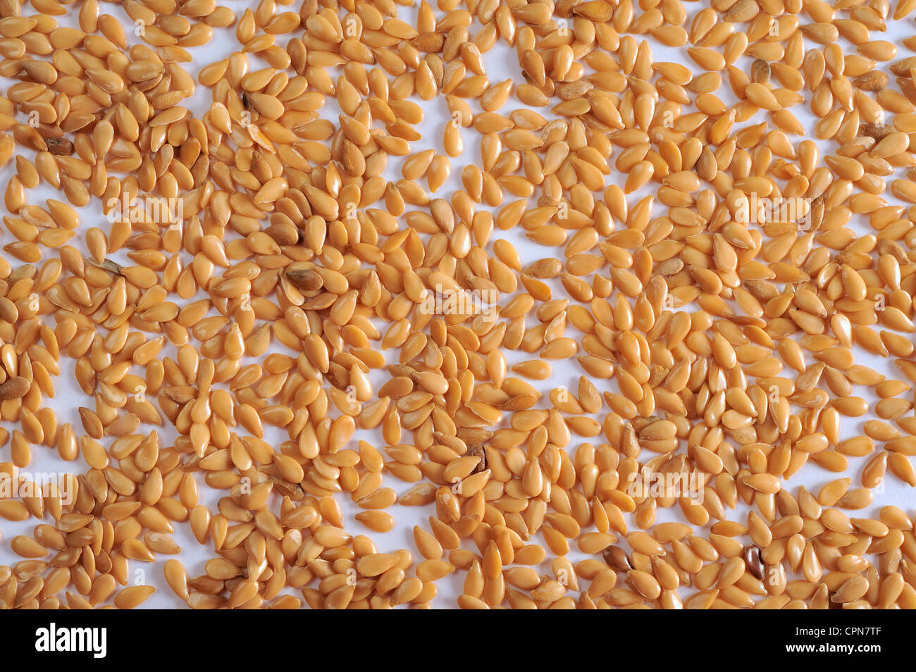 Medical plants seed hi-res stock photography and images - Alamy