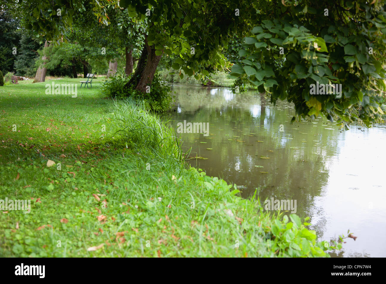 Tree water reflective nature ponds hi-res stock photography and images ...