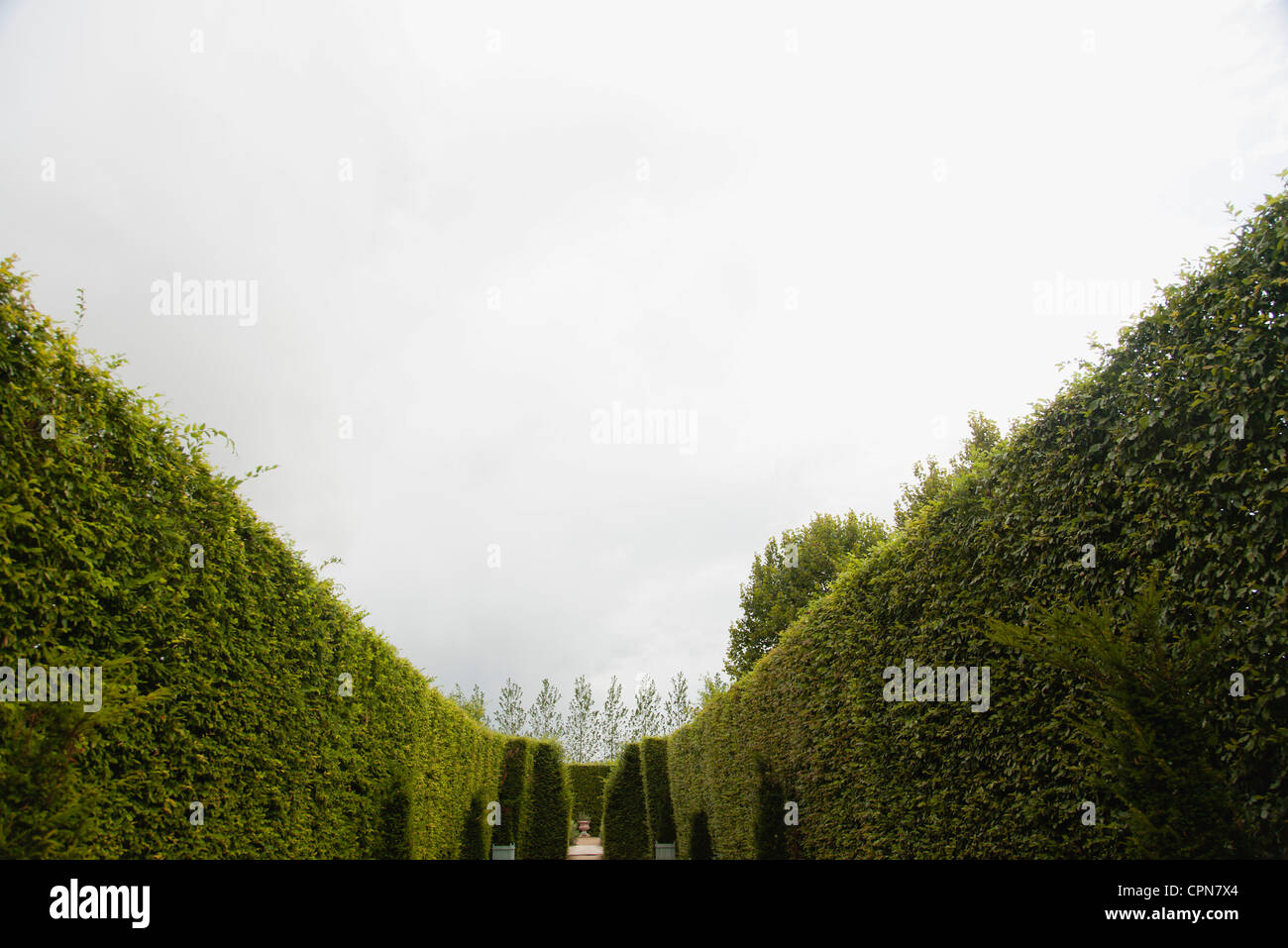 Tall hedges hi-res stock photography and images - Alamy