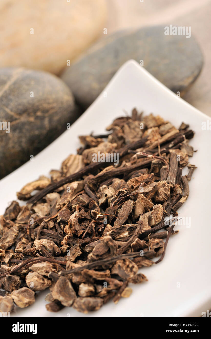 Black cohosh hi-res stock photography and images - Alamy