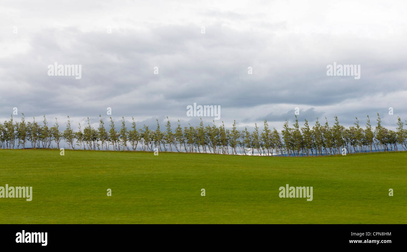 Treelined fields hi-res stock photography and images - Alamy