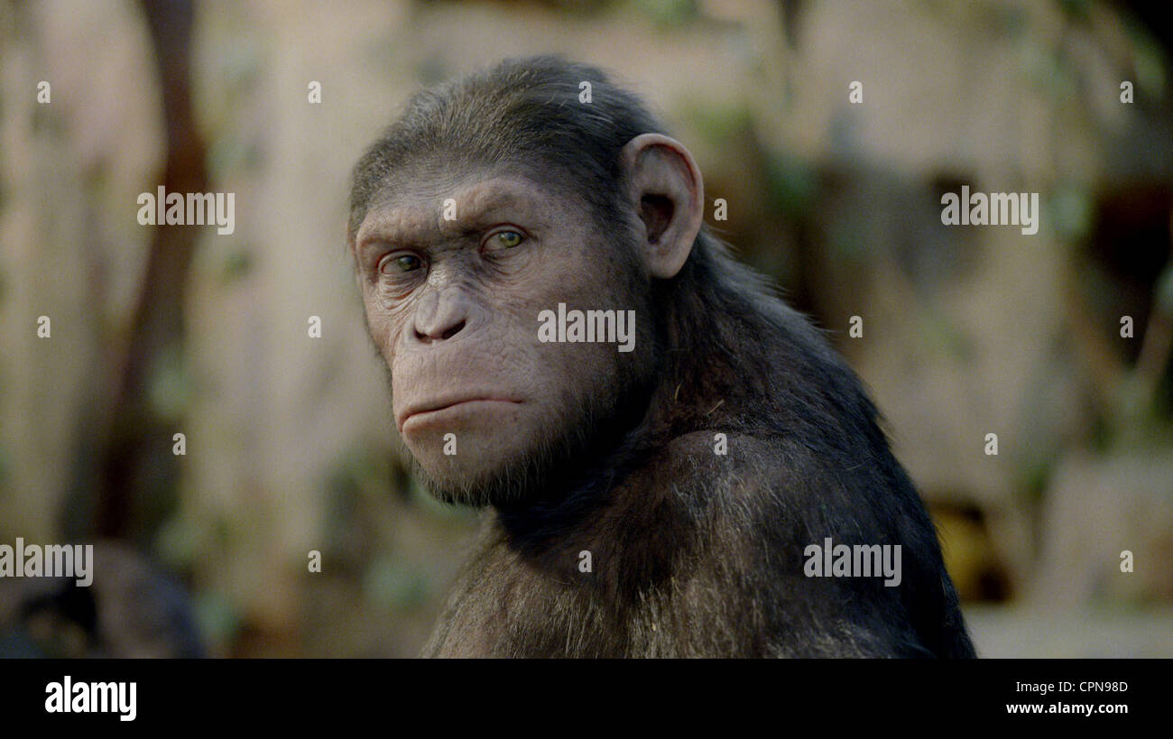 Rise of the planet of the apes hi-res stock photography and images - Alamy