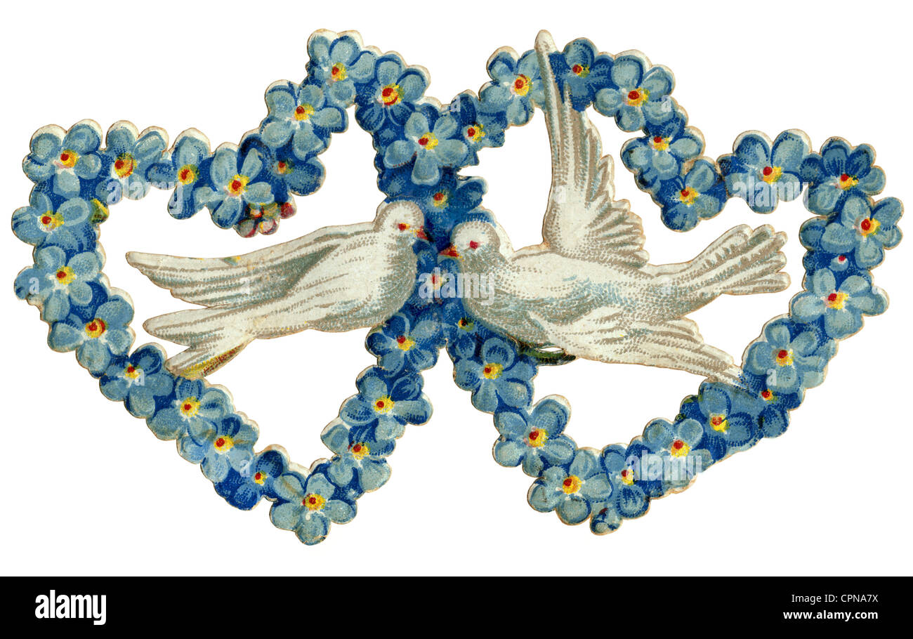 Two turtle doves hi-res stock photography and images - Alamy