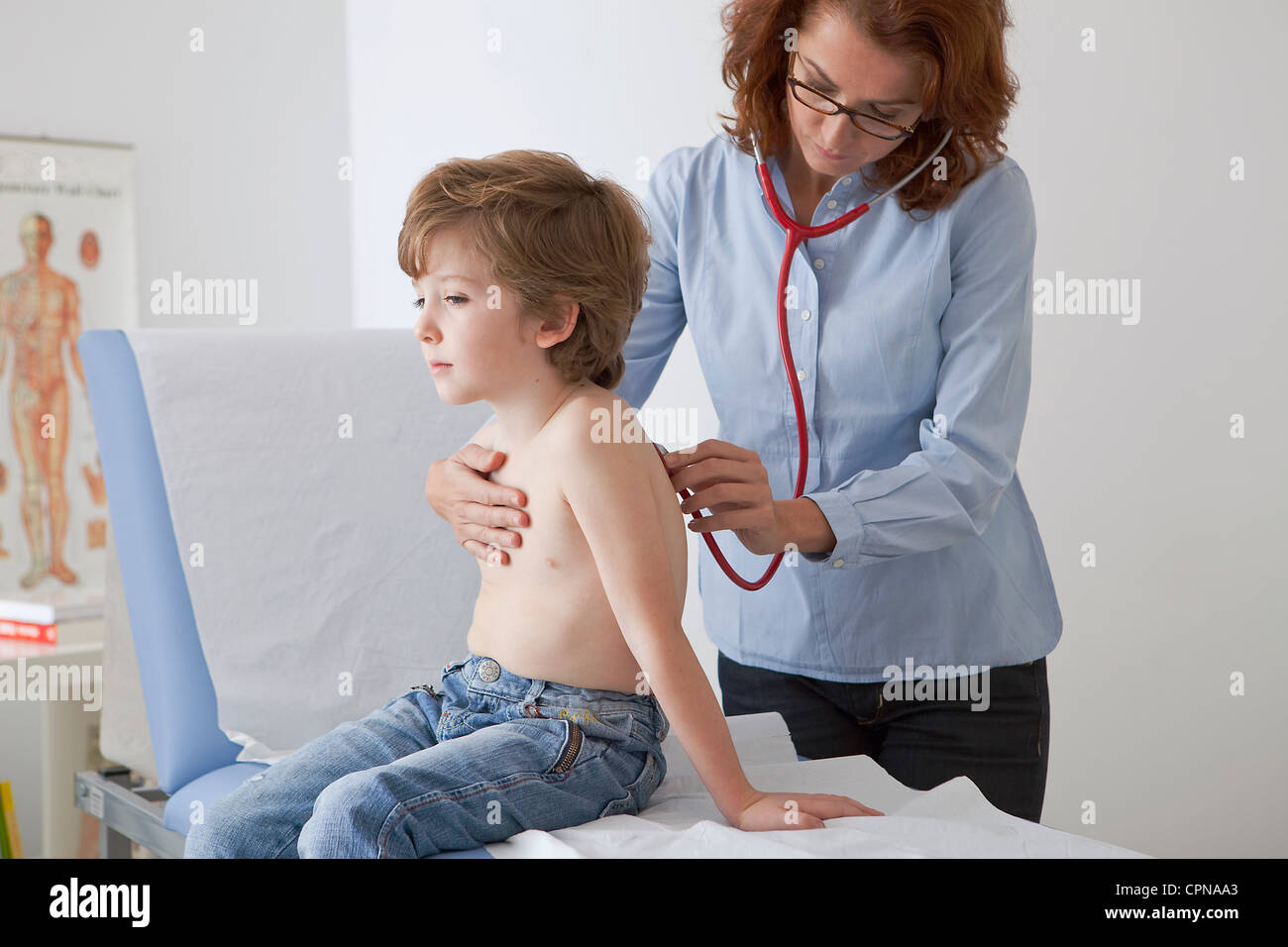 Male Respiratory System High Resolution Stock Photography and Images ...