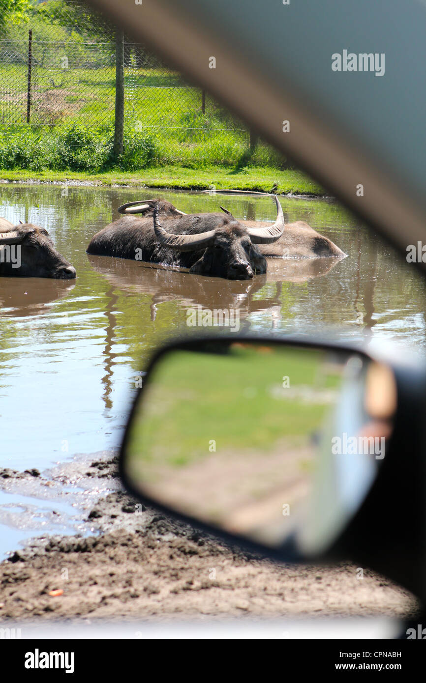 Midlands car hi-res stock photography and images - Alamy