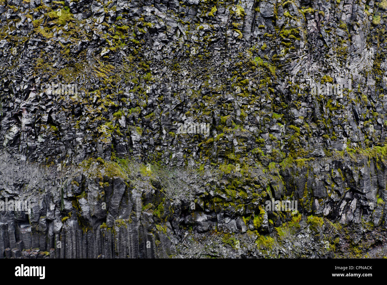 Moss growing on volcanic rock, Iceland Stock Photo - Alamy