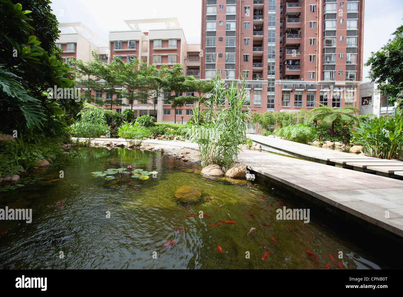 Fish pond in urban park Stock Photo - Alamy