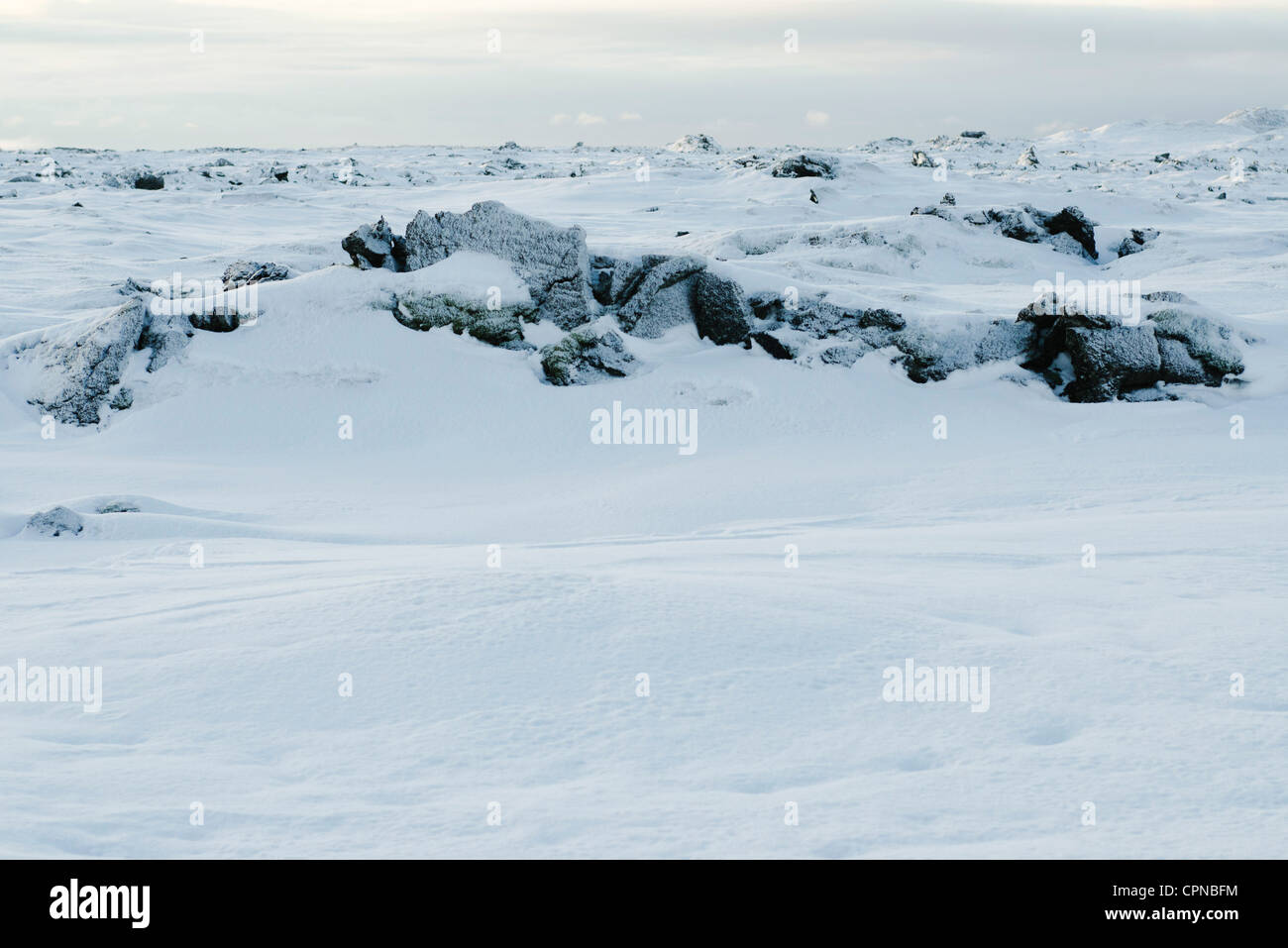 Volcanic rock covered in snow, Reykjanes Peninsula, Iceland Stock Photo ...